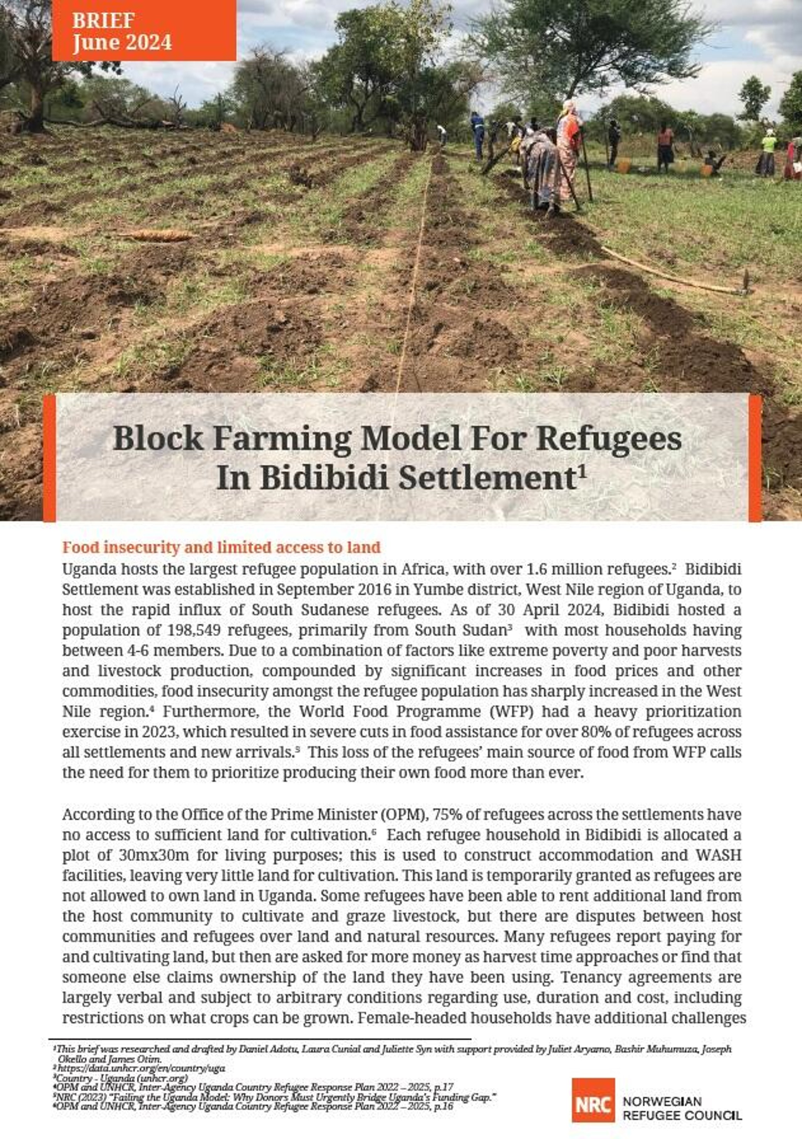 Block farming model for refugees in Bidibidi Settlement | NRC