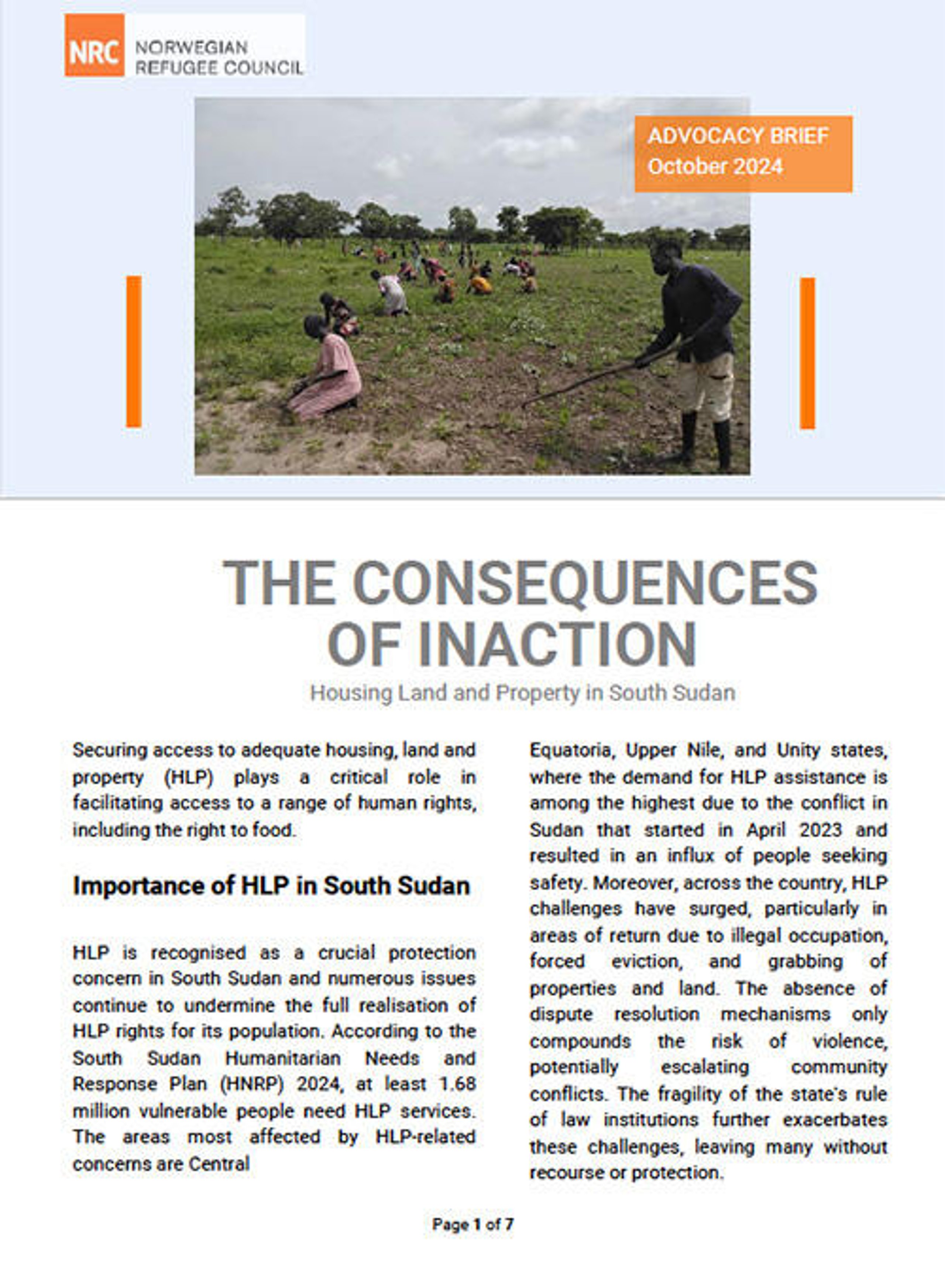 The consequences of inaction - Housing, land and property in South ...