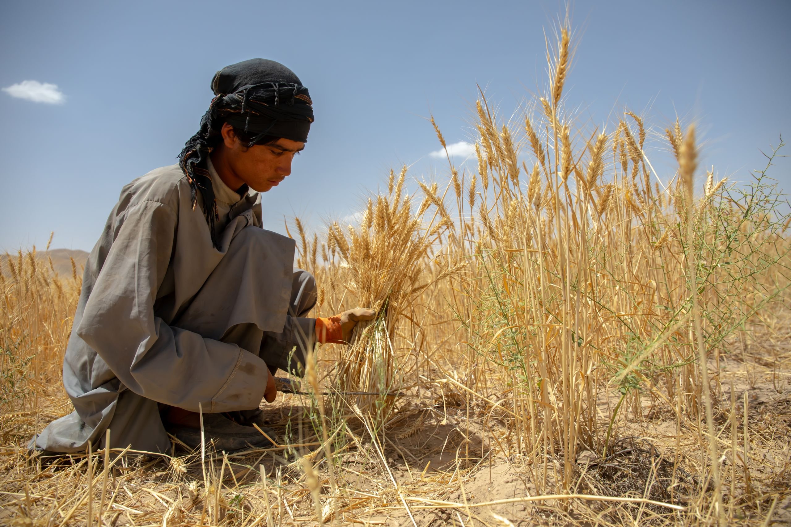 Struggling against the tide: Afghanistan’s battle against climate ...