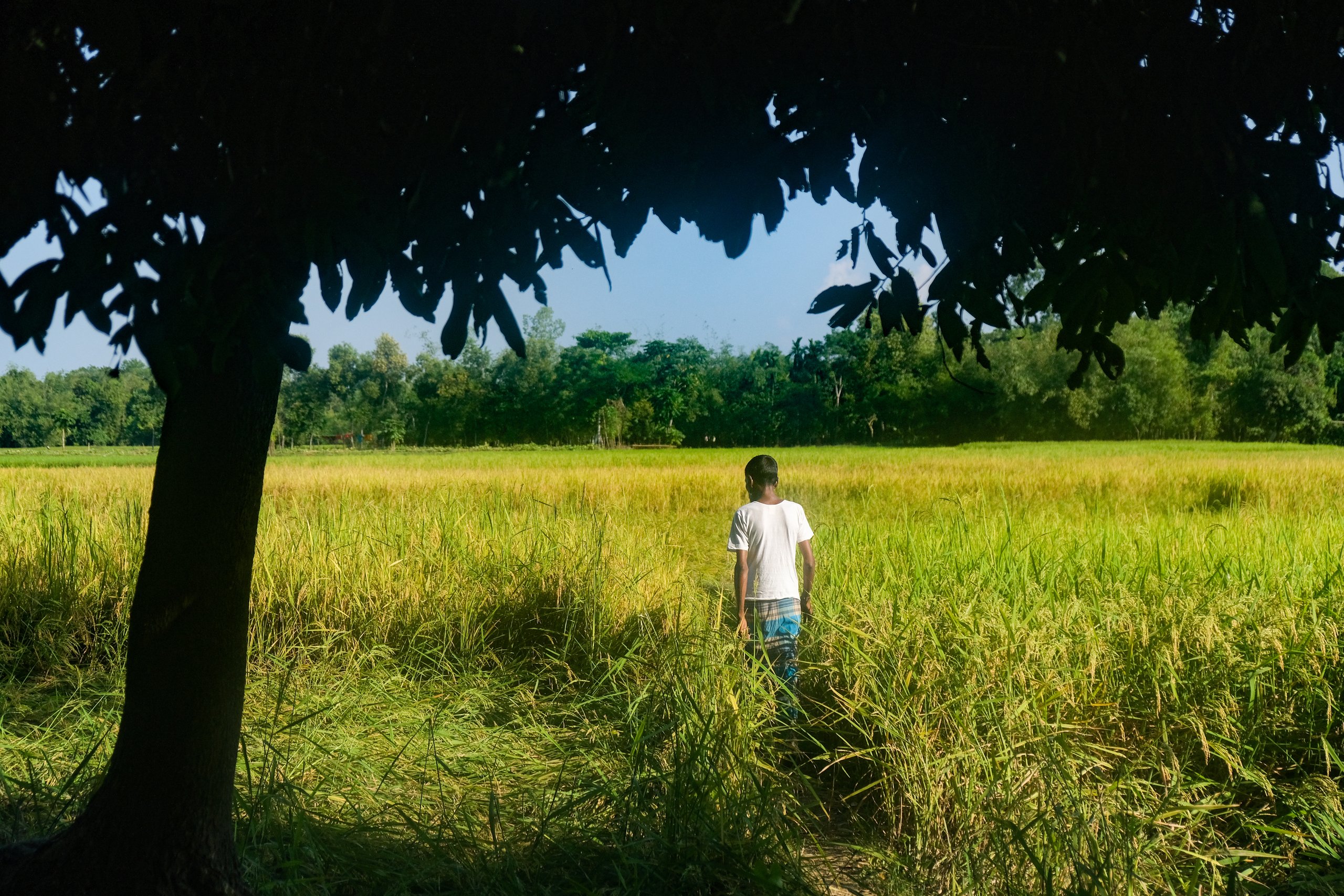 A difficult road to recovery in Sylhet | NRC