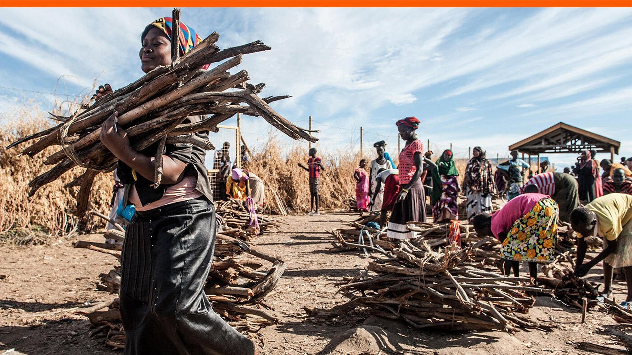 Livelihoods and food security | NRC