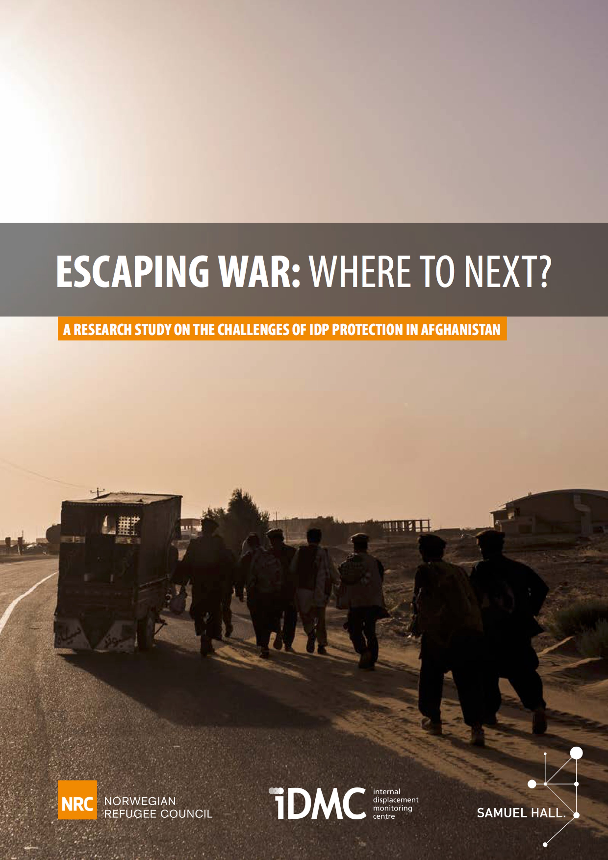 Escaping War: Where to next? The Challenges of IDP Protection in ...