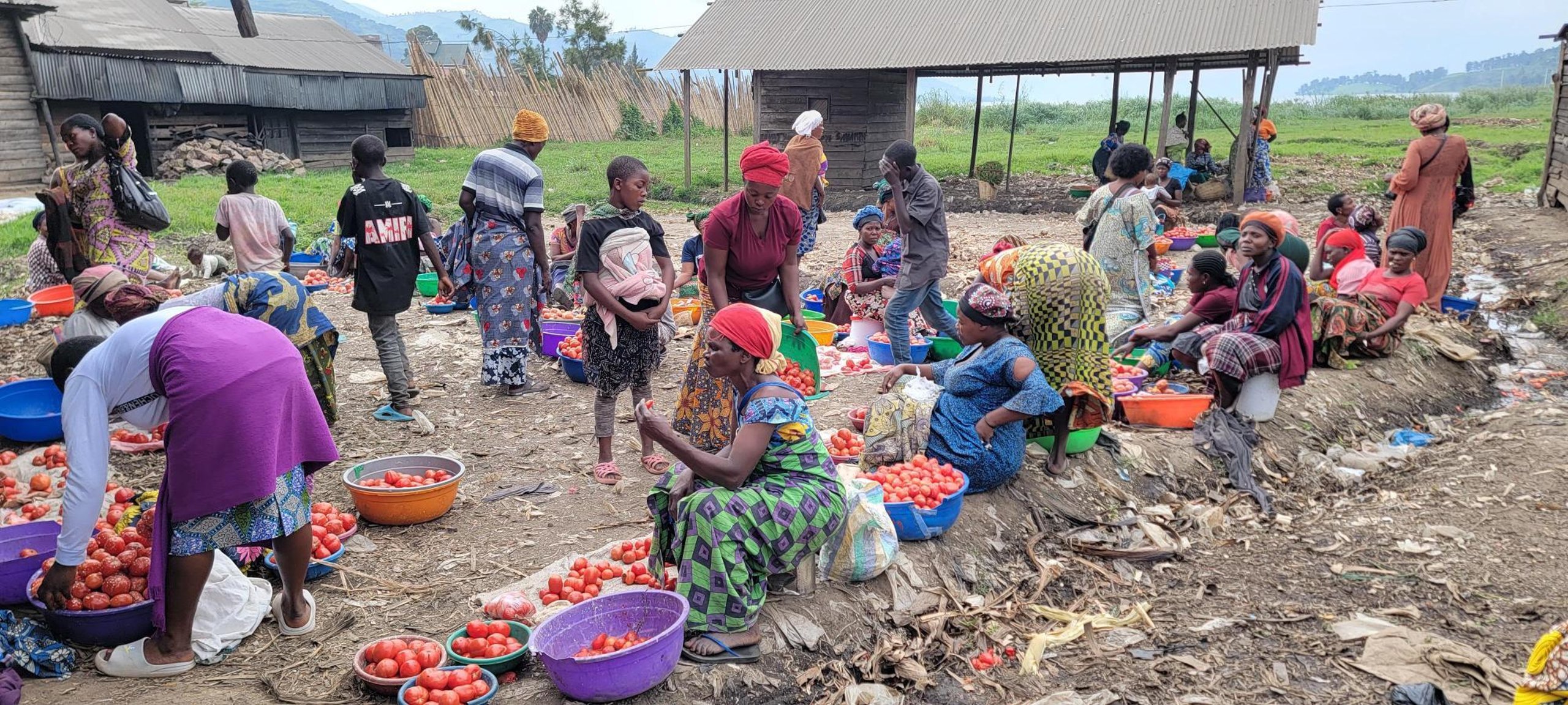 A fresh start for families returning home in DR Congo | NRC
