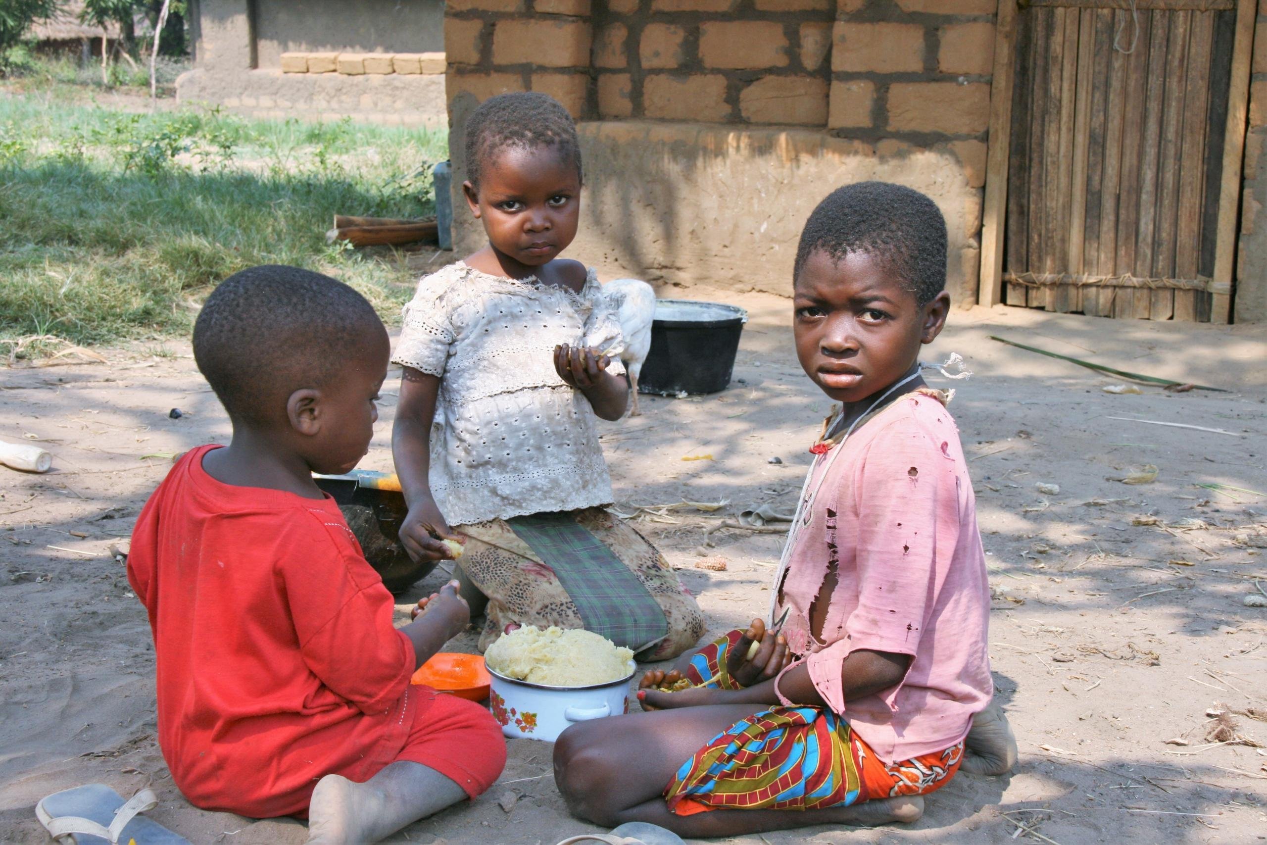 DR Congo: Imminent hunger crisis threatens Ebola-stricken North Kivu | NRC