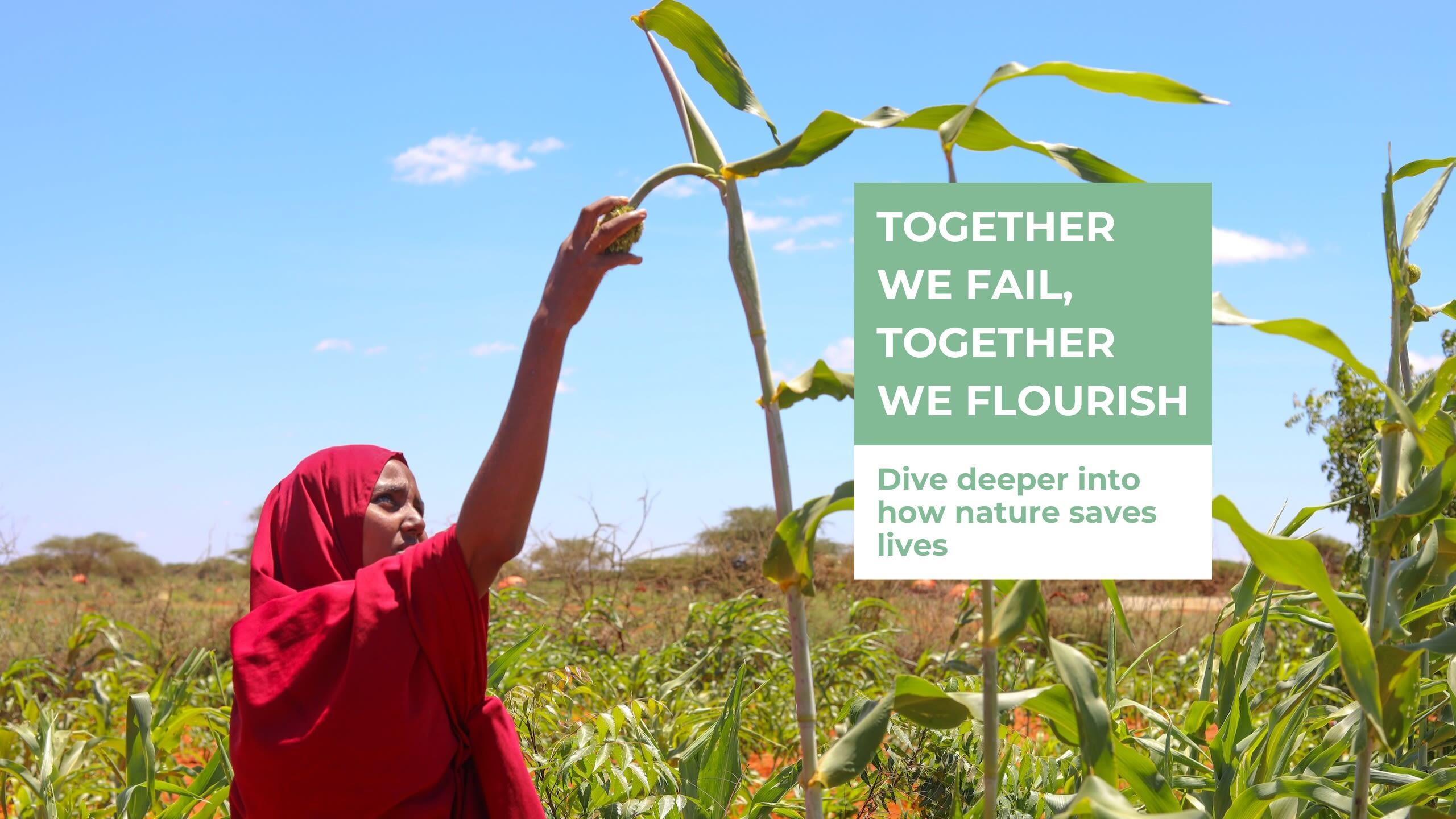 Together we fail, together we flourish: Dive deeper into how nature ...