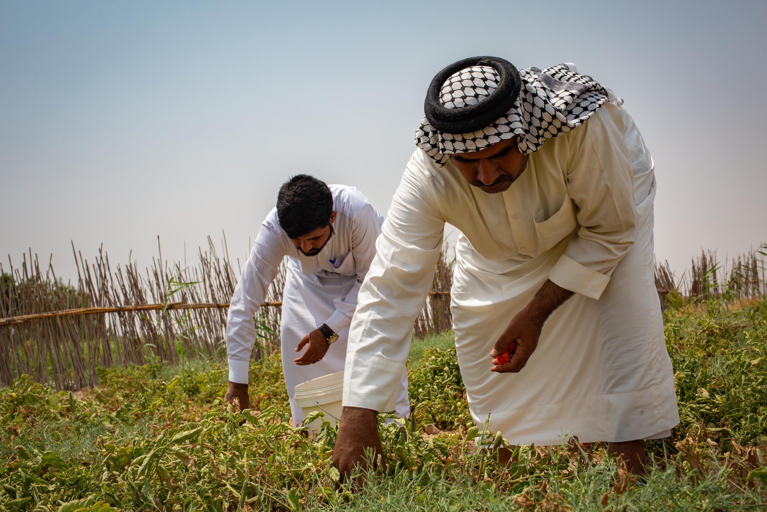 Training farmers to tackle environmental challenges | NRC