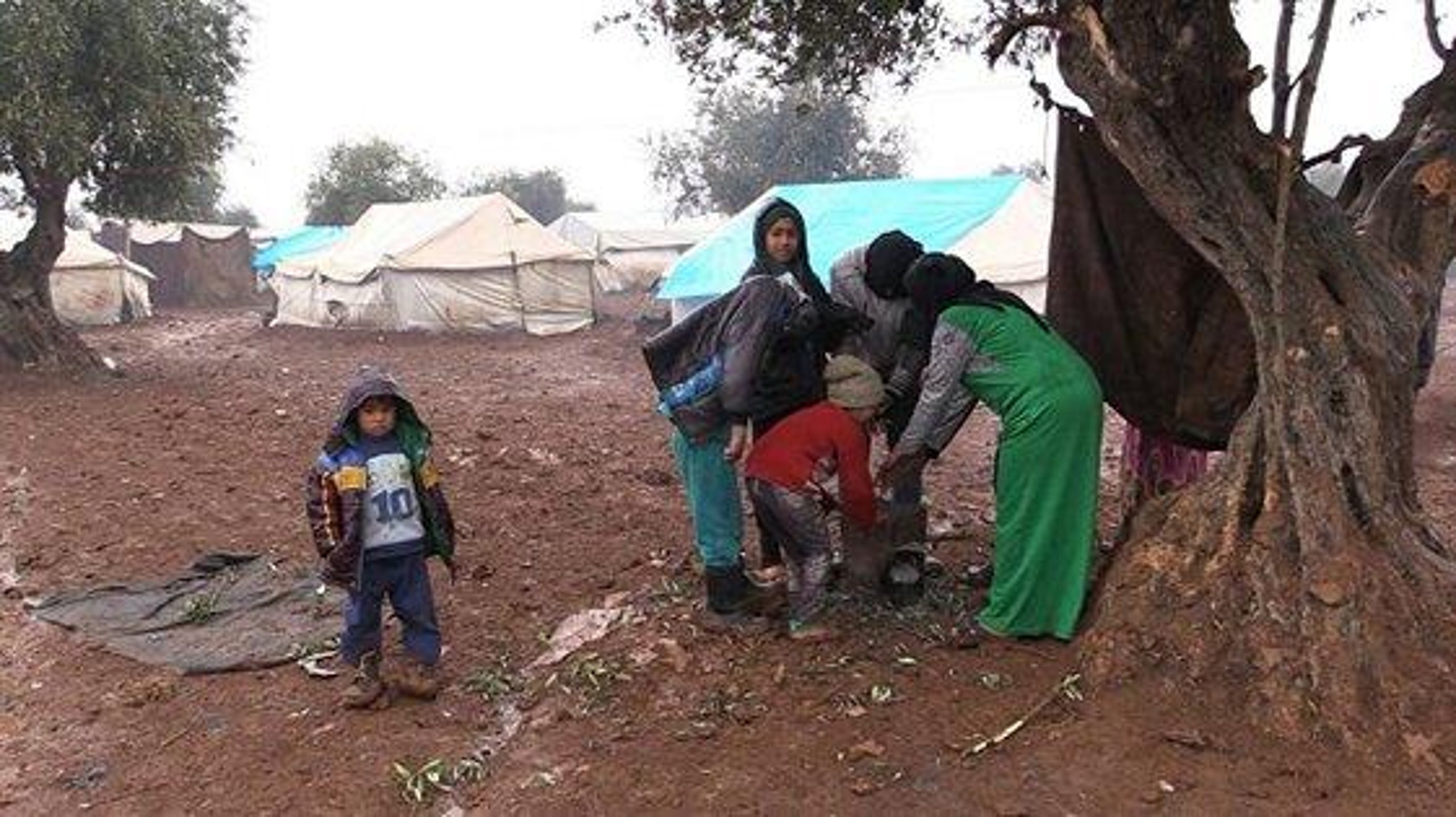 Syria humanitarian appeal | NRC