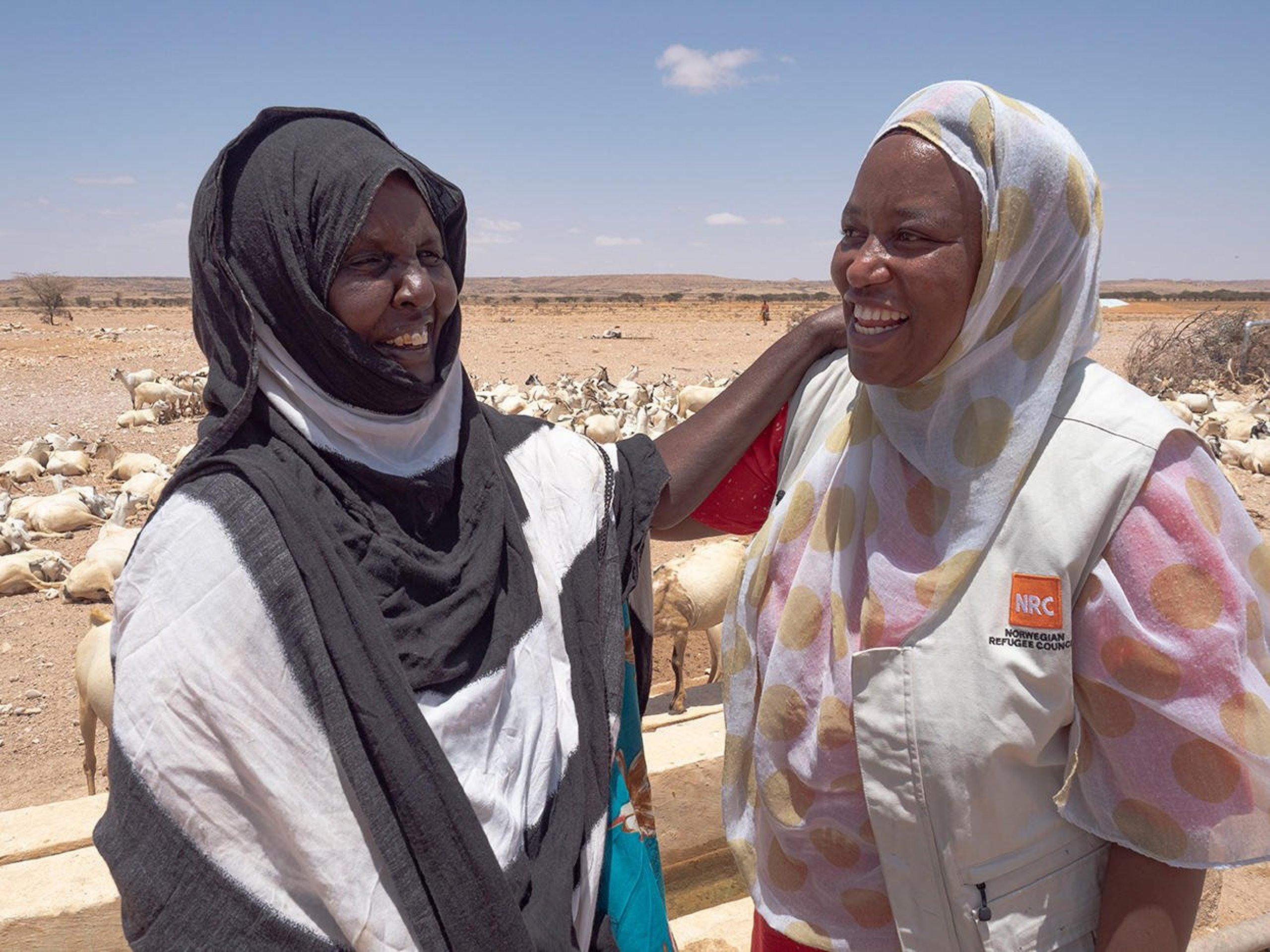 NRC’s 75-year history captured in new book | NRC