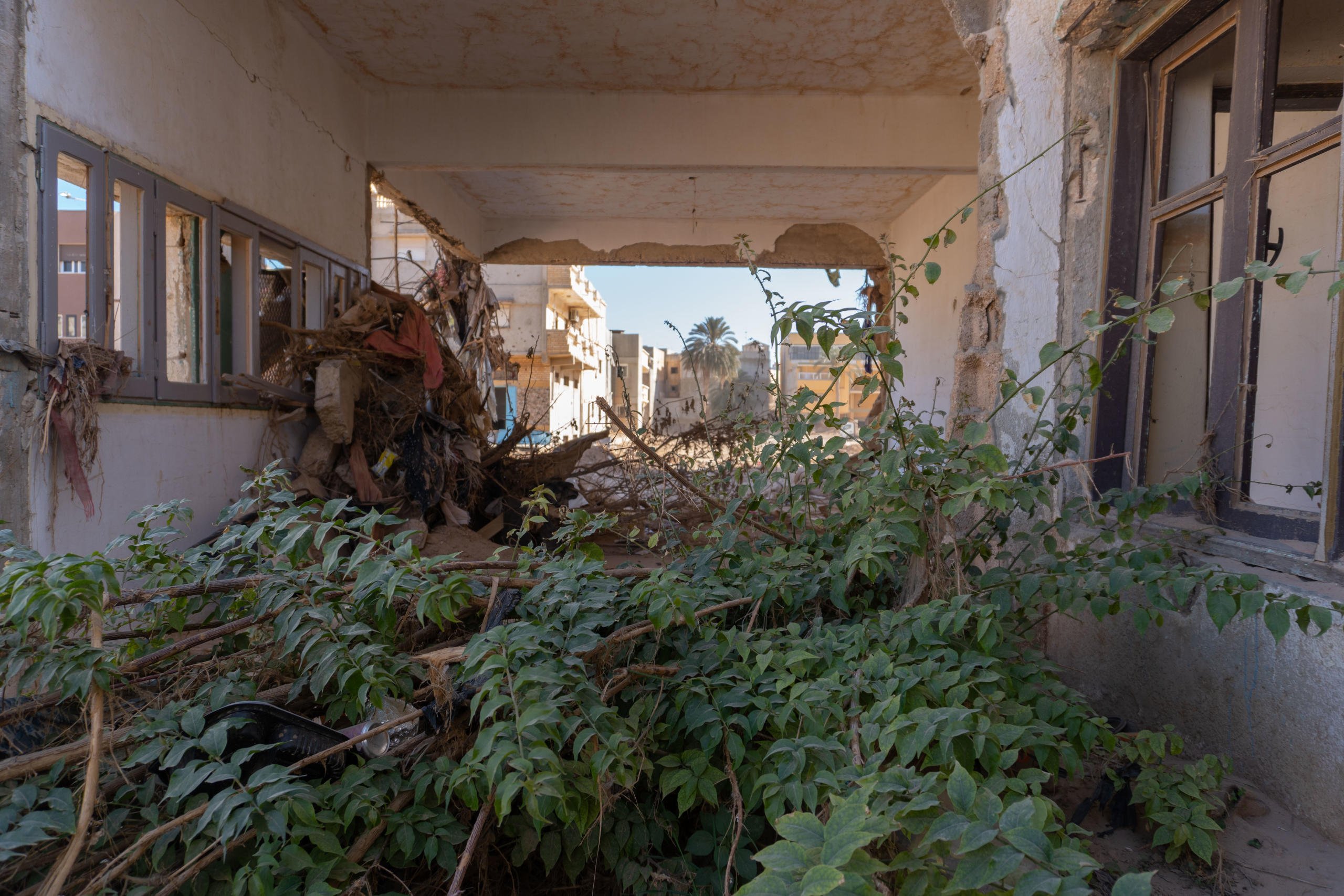 Six months after Storm Daniel: Resilience prevails in Libya | NRC