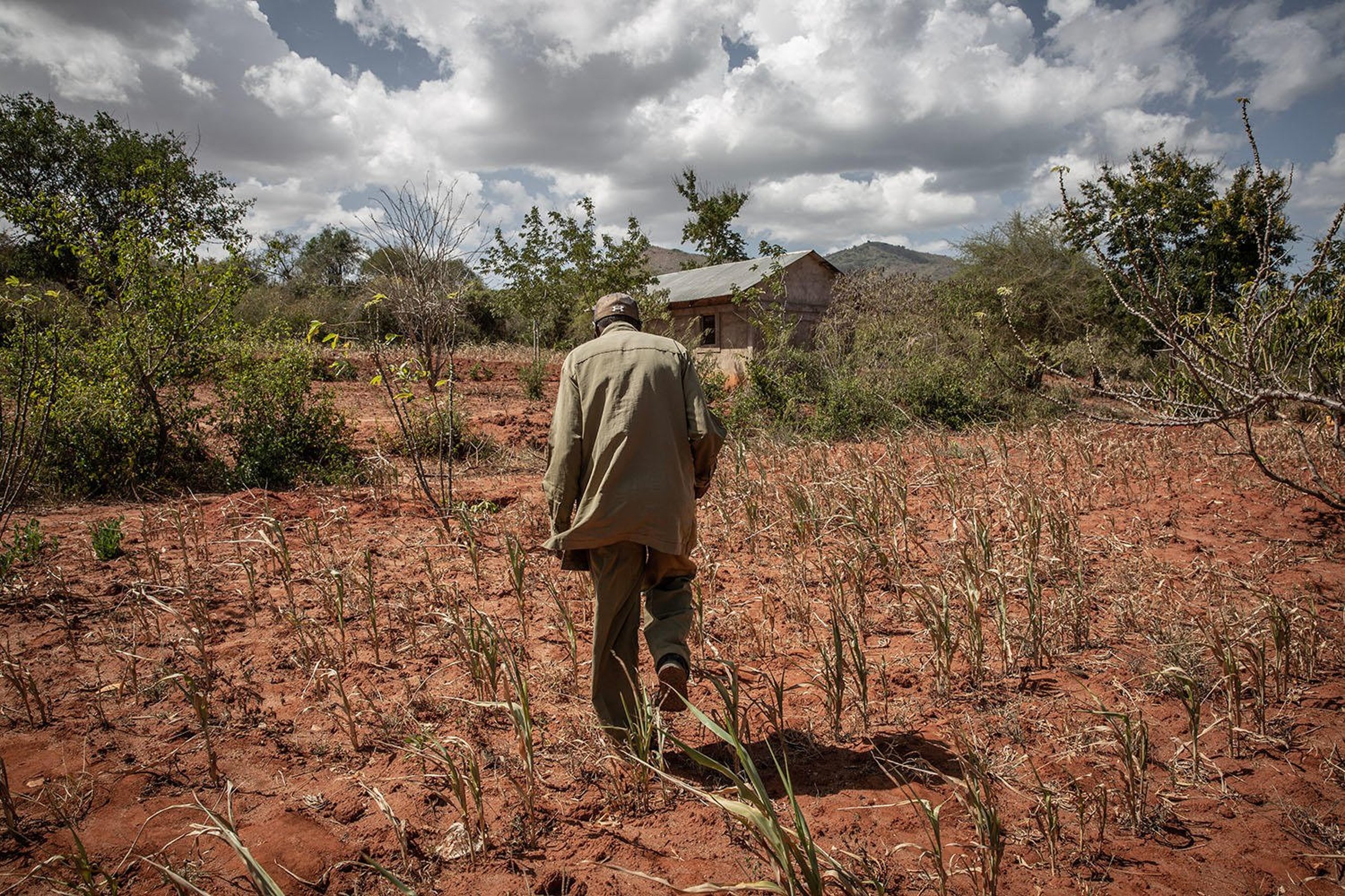 Data is critical tool as farmers fight drought in Kenya | NRC