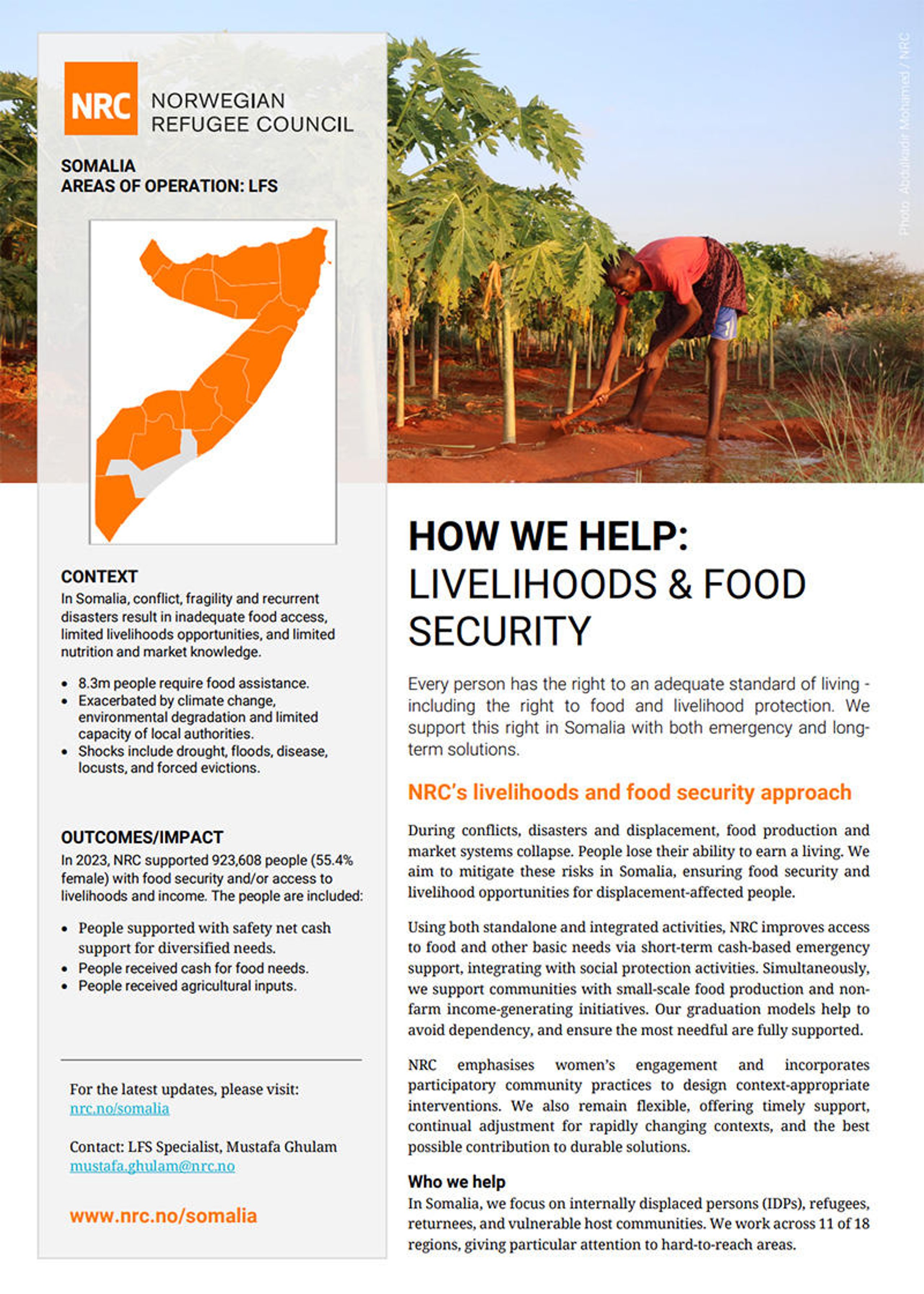 How we help: Livelihoods and food security | NRC