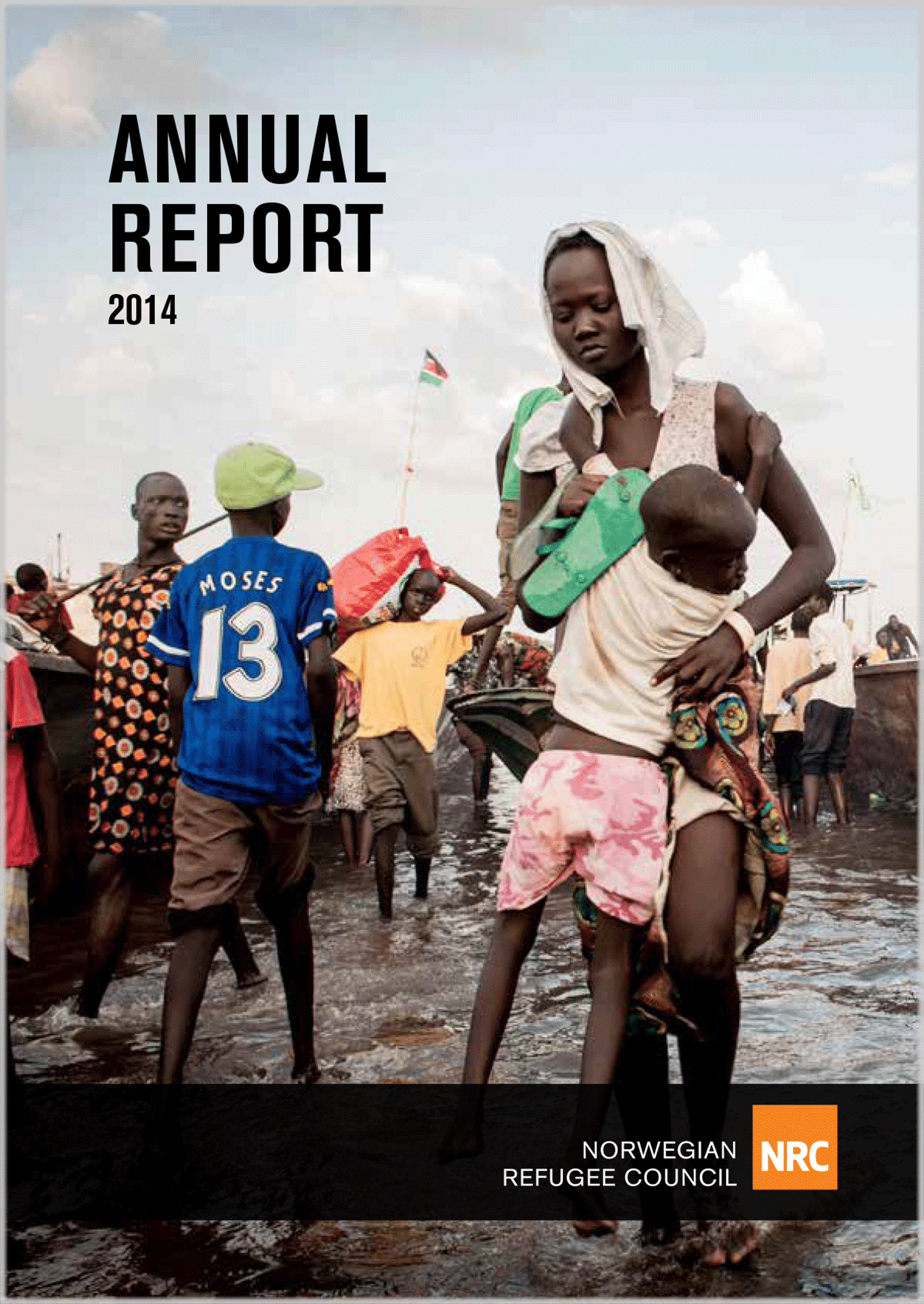 NRC Annual Report 2013 | NRC