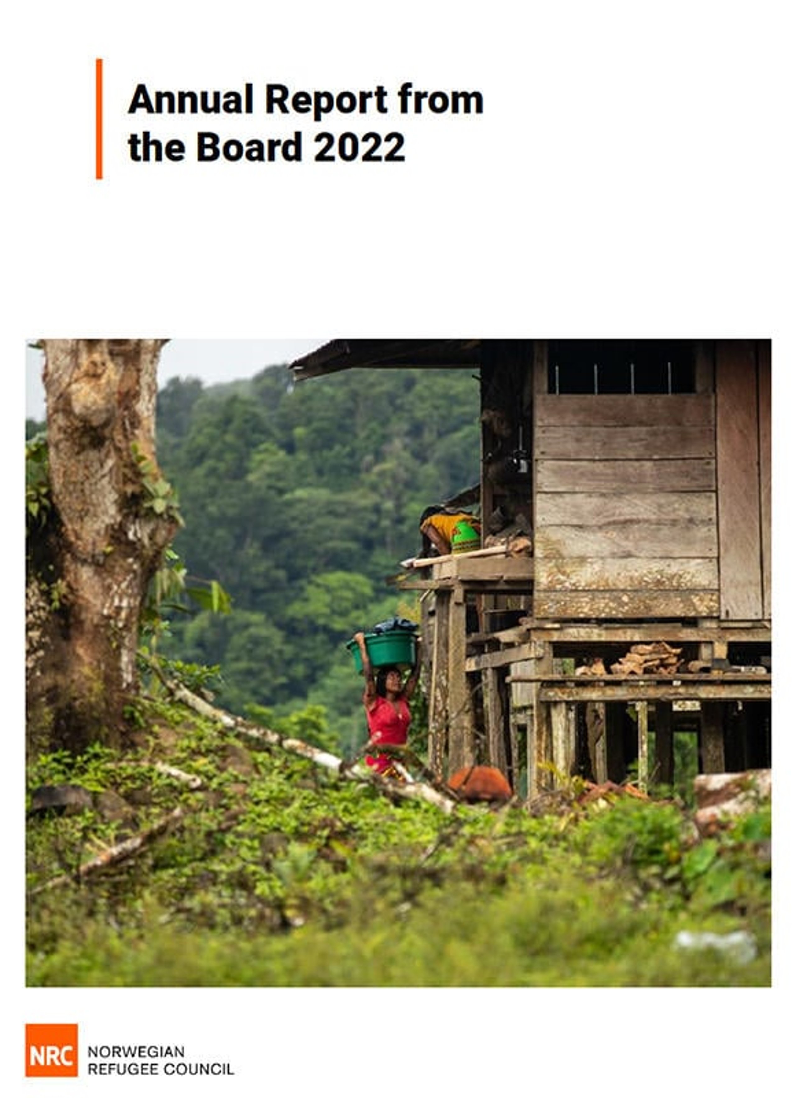 NRC Annual Report from the Board 2022 | NRC