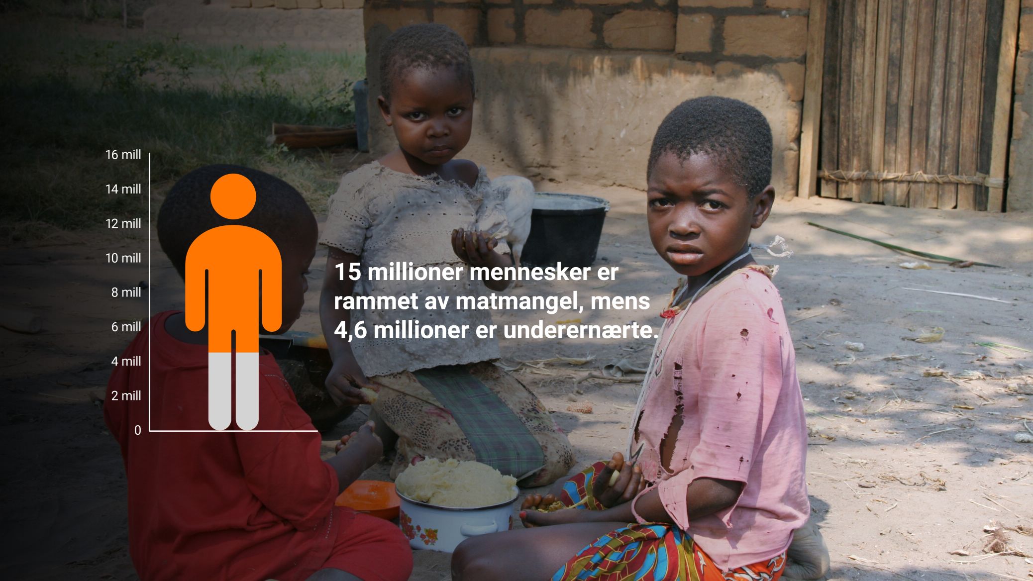 Den demokratiske republikken Kongo