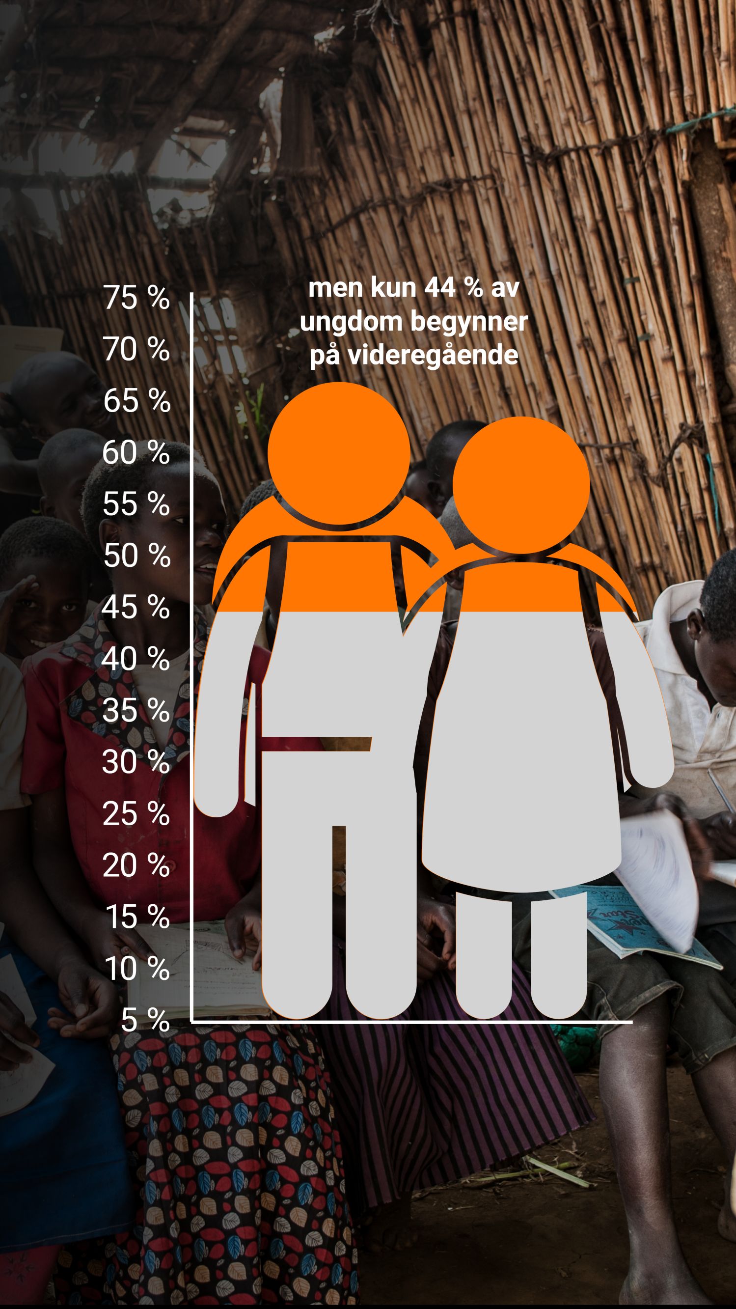 Den demokratiske republikken Kongo